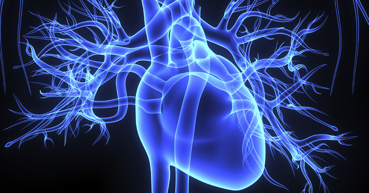 Afib With Rvr Understanding Rapid Ventricular Response With Afib